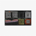 Software archivos - Comercializadora Lux, S.A. de C.V.